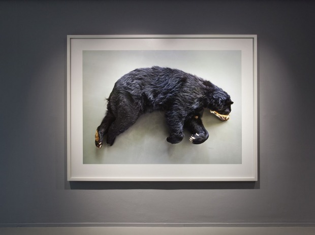 thomas struth - artists - Andriesse – Eyck Gallery