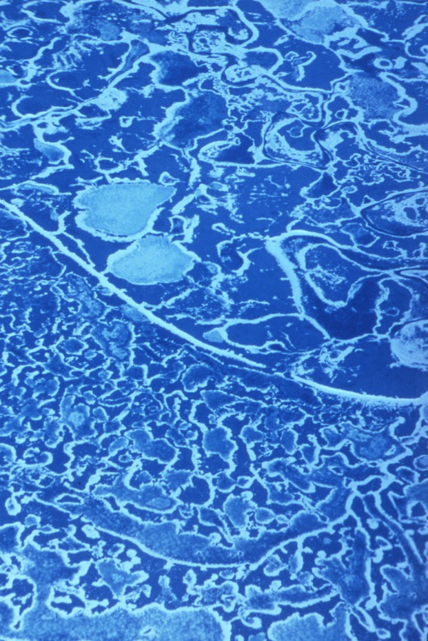 dan asher - biography - artists - Andriesse – Eyck Gallery