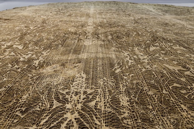 diana scherer - artists - Andriesse – Eyck Gallery