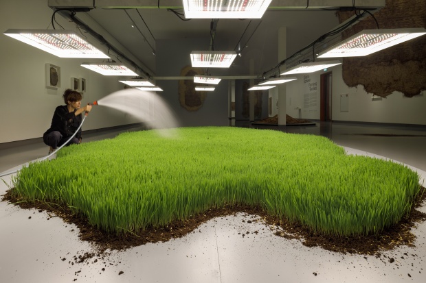 diana scherer - artists - Andriesse – Eyck Gallery