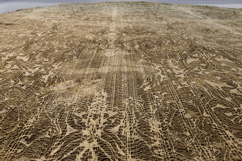 diana scherer - artists - Andriesse – Eyck Gallery