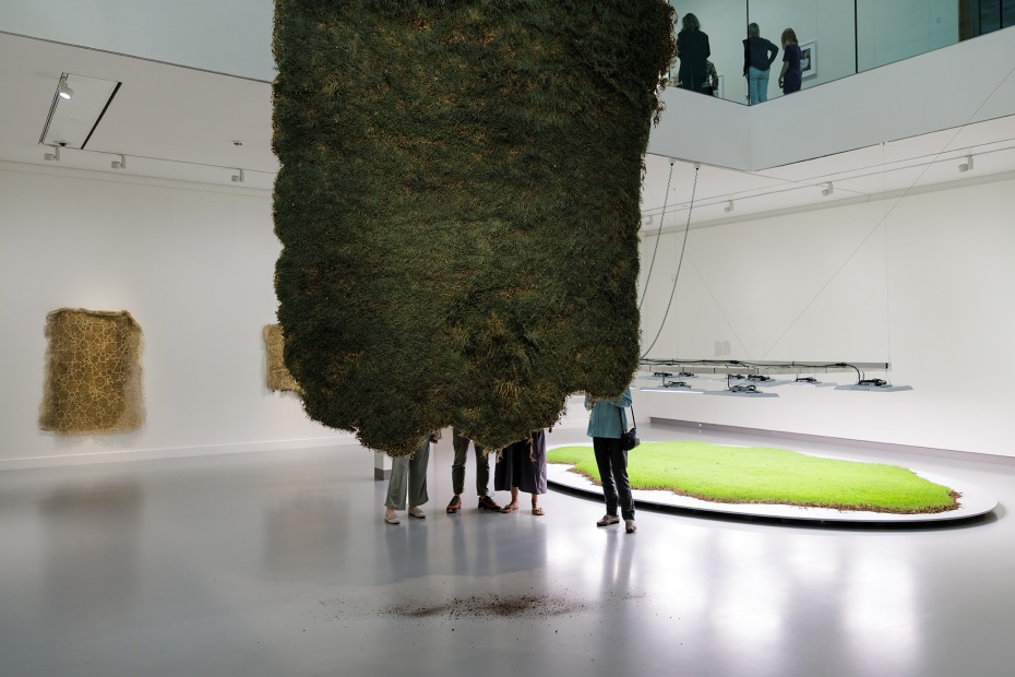 diana scherer - artists - Andriesse – Eyck Gallery