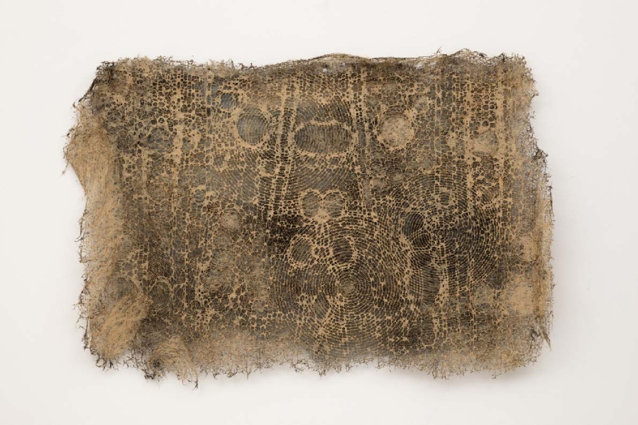 diana scherer - artists - Andriesse – Eyck Gallery