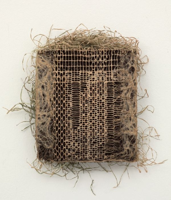 diana scherer - artists - Andriesse – Eyck Gallery