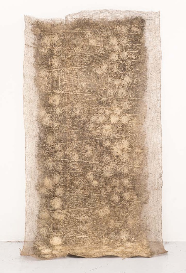 diana scherer - artists - Andriesse – Eyck Gallery